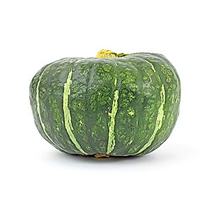 Burgess Buttercup Winter Squash, 25 Heirloom Seeds Per Packet, Non GMO Seeds, Botanical Name: Cucurbita Maxima, Isla's Garden Seeds