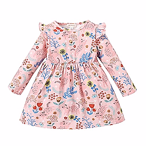 Toddler Girl Floral Cat Pink Dress Long Sleeve Baby Girl Cotton Fall Outfit(Cat/4T)