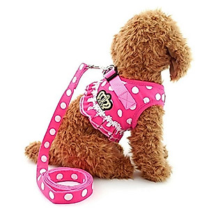 SELMAI Brother cat Dog Small Dog Harness Pink Leash Set Ladies Polka Dot Vest Mesh Padded Lead for Pet Cat Puppy Girls S