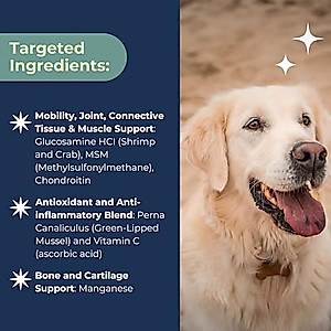 Advanced Hip & Joint Supplements for Dogs, USA Made with Glucosamine & Green Lipped Muscle for Mobility Health, 60ct