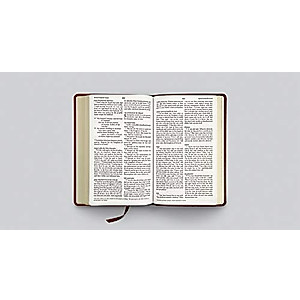 ESV Large Print Thinline Bible (TruTone, Burgundy/Red, Timeless Design)