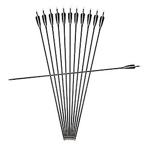 AMEYXGS 6/12pcs Carbon Arrows 34inch Practice Arrow with True Feathers and Detachable Arrow Tips 500 Spine Shooting Practice Arrows for Compound Bow Recurve Bow (12pcs)