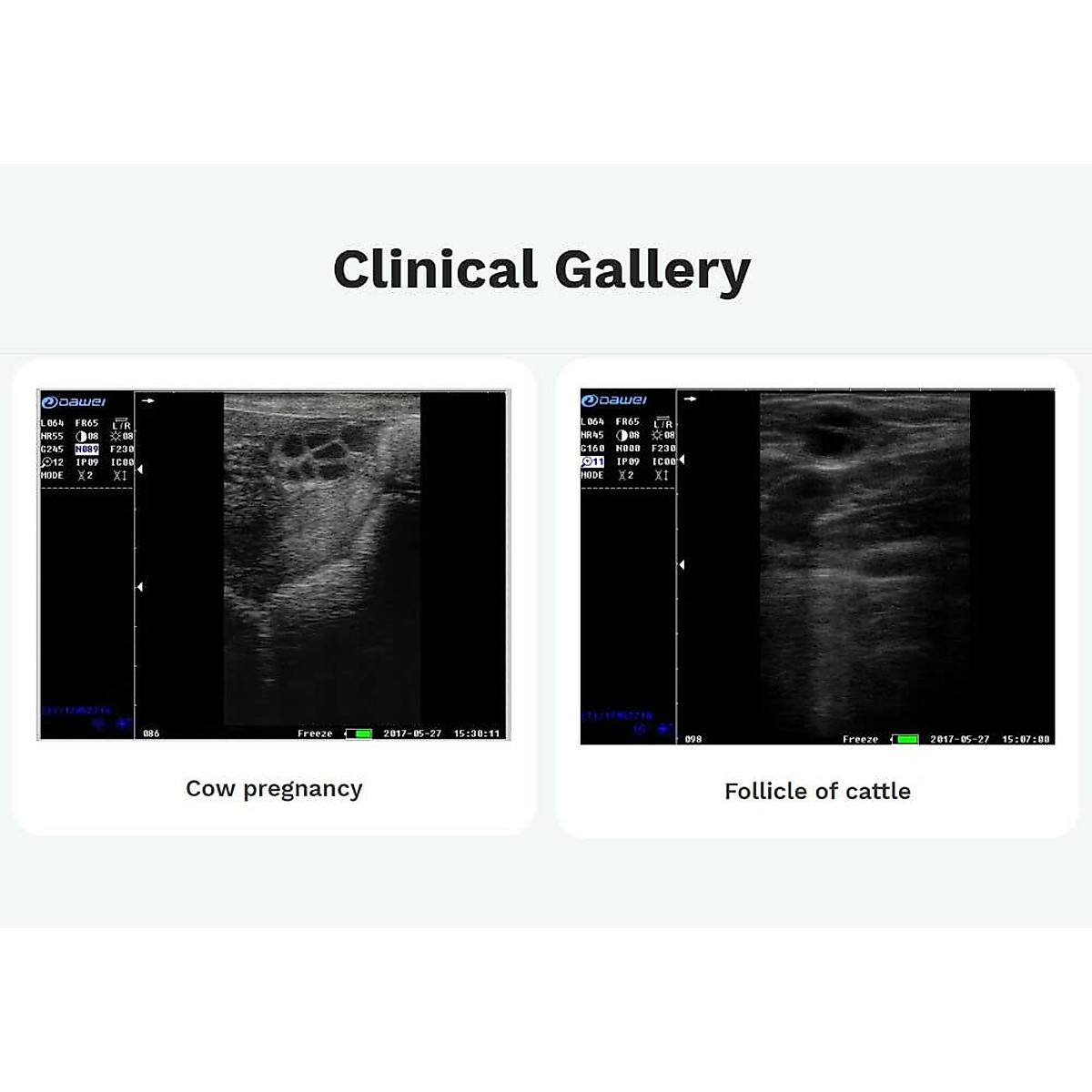 SWR Dawei Vet Ultrasound Machine Portable Veterinary Handheld Scanner B-Ultra Sound Lightweight Ultrasound Pregnancy Tester with Waterproof Probe for Pig,Sheep,Dog use (Back Fat Probe)