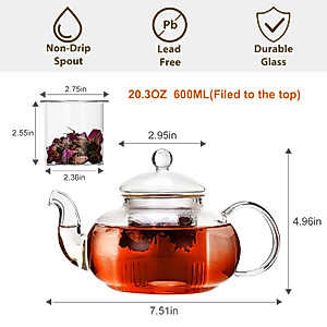 CNGLASS Glass Teapot Set,20oz Clear Tea Pot with 4 Double Wall Teacups,Stovetop Safe Tea Kettle,Blooming Loose Leaf Tea Maker Gift,Microwave Dishwasher Safe