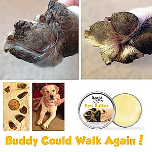 The Blissful Dog Paw Butter for Your Dog's Rough and Dry Paws, 3-Ounce