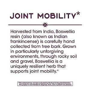 Nature's Way Standardized Boswellia, 40% Boswellic Acids per Serving, TRU-ID Certified, Vegetarian, 60 Tablets, Pack of 2