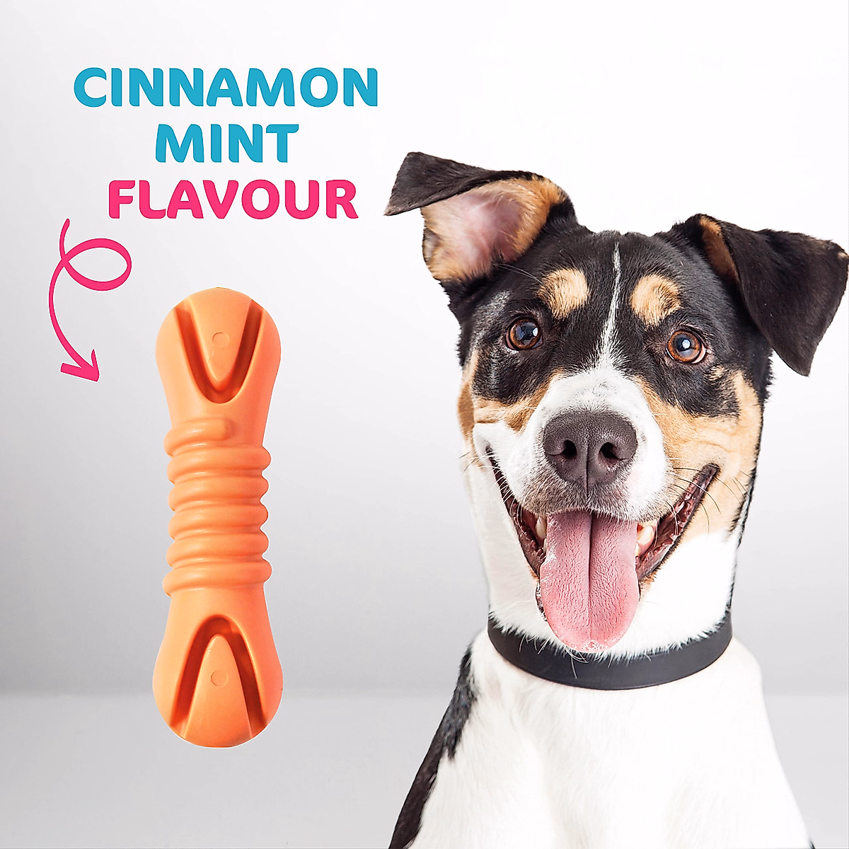 TastyBone Dental Bone Dog Chew Toy (One Size) (Cinnamon Mint)