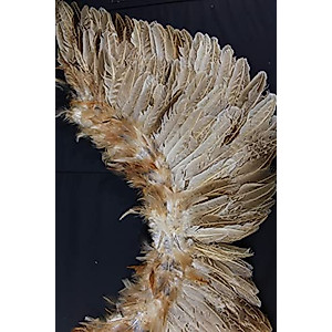 Nature Brown Turkey and goose Feather, Angel Wings Costume, Party, Photography Fun Dress Up Angel Wing (Nature -002)