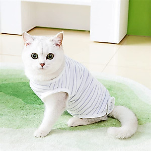 Cat Recovery Suit Post Surgery Shirt for Puppy, Wound Protective Clothes for Little Animals Dogs Cats (Large)