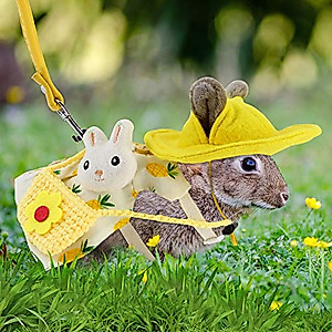 Mogoko Soft Rabbit Harness with Leash, Cute Bunny Vest Dress and Lead Set for Ferret Guinea Pig Kitten Small Animals (S)
