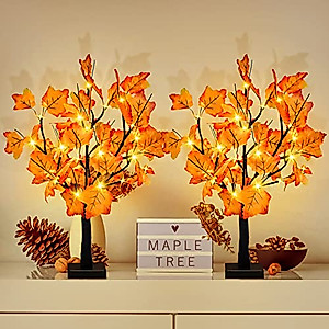 2 Pack 24-inch Fall Lighted Maple Tree, 48 LED Lights, Thanksgiving Decoration Table Tree, Battery Operated DIY Artificial Tree, Centerpieces Decor Tree for Home Desktop Autumn Harvest Tabletop Indoor