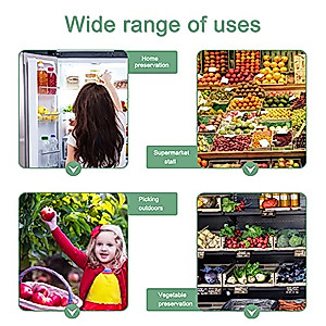 Jizvxe 100 Pack Clear Plastic Square Hinged Food Container,Disposable Plastic To Go Containers with Clear Lids,Cake Slice Containers Clamshell Takeout Tray for Pastry,Salad,Dessert(5.1"x 4.7"x 2.8")