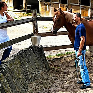 Cotton Horse Bucket Strap Hangers - 4 Pcs Adjustable 28" to 50" Length, Horse Goat Suppliers for Hay Nets, Water Buckets,Barn Hanging, Outdoor Feeders and Heavy Duty Horse Water Feed