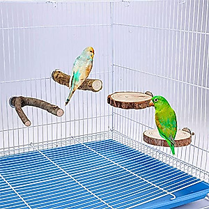 Gigicloud 4 Pcs Bird Perch Stand Set, Natural Wood Parrot Stick Platform Birdcage Stands Parrot Perches Stand Cage Accessories Cockatiel Toys for Budgies Parakeets Lovebirds
