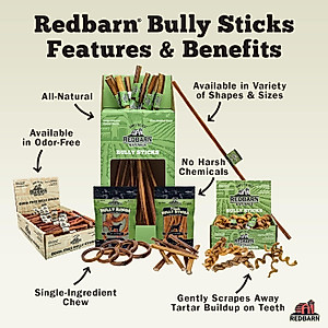 Redbarn Pet Products All Natural 8-12" Braided Bully Sticks for Medium & Large Dogs - Healthy Long Lasting Beef Chews Variety Party Pack - Single Ingredient Low Odor Rawhide Free - 1 lb Bag