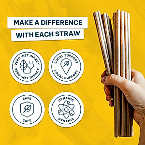 EQUO Coffee Drinking Straws, Disposable, Biodegradable, Compostable, and Plastic-Free, Pack of 50, Standard