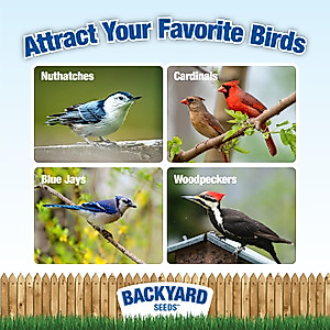 Backyard Seeds Shelled Peanut Pickouts for Woodpeckers, Birds, Squirrels, Wildlife (10 Pounds)