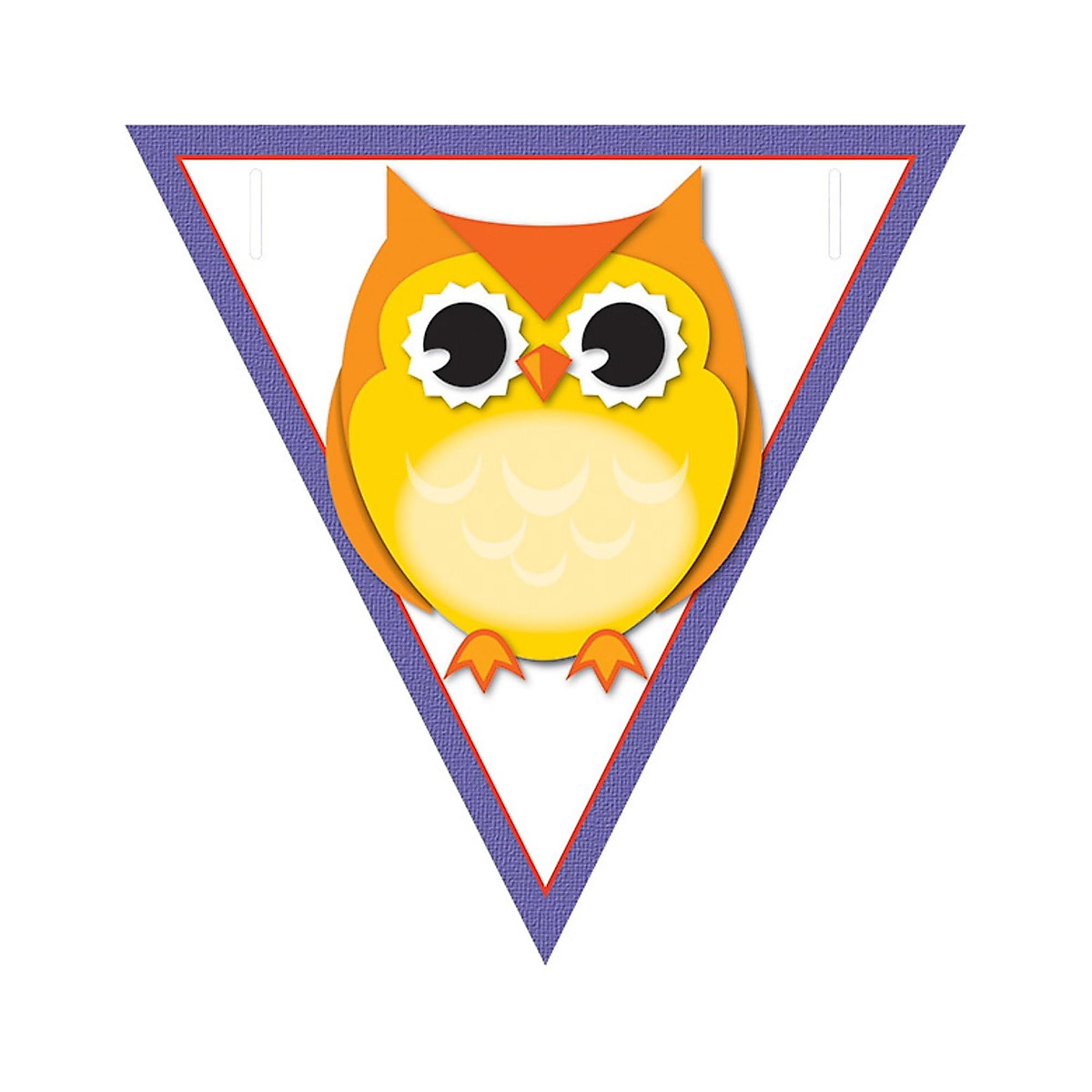 Carson Dellosa Banner, Colorful Owls (102038)