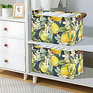 Emelivor Watercolor Yellow Lemon Black Storage Bins for Shelves Foldable Storage Baskets for Organizing Closet Shelf Nursery Home Decorative Rectangular Storage Cubes with Handles