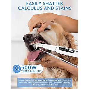 Vodi Mosa Dog Tooth Brushing Kit - Dog Tartar Remover for Teeth Dog Plaque Remover Teeth Cleaning Kit Pet Electric Toothbrush Teeth Cleaner for Dog, Cat