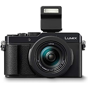 Panasonic LUMIX LX100 II 17MP Digital Zoom Camera Bundle with Panasonic DMW-ZSTRV Battery and Charger Pack, Camera Bag and 32GB SD Card (4 Items)