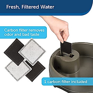 PetSafe Current Pet Water Fountain - Circulating Drinking Fountain for Cats and Dogs - Forest, Medium, 80 oz Capacity Water Dispenser - Carbon Filter Included - Easy to Clean Design