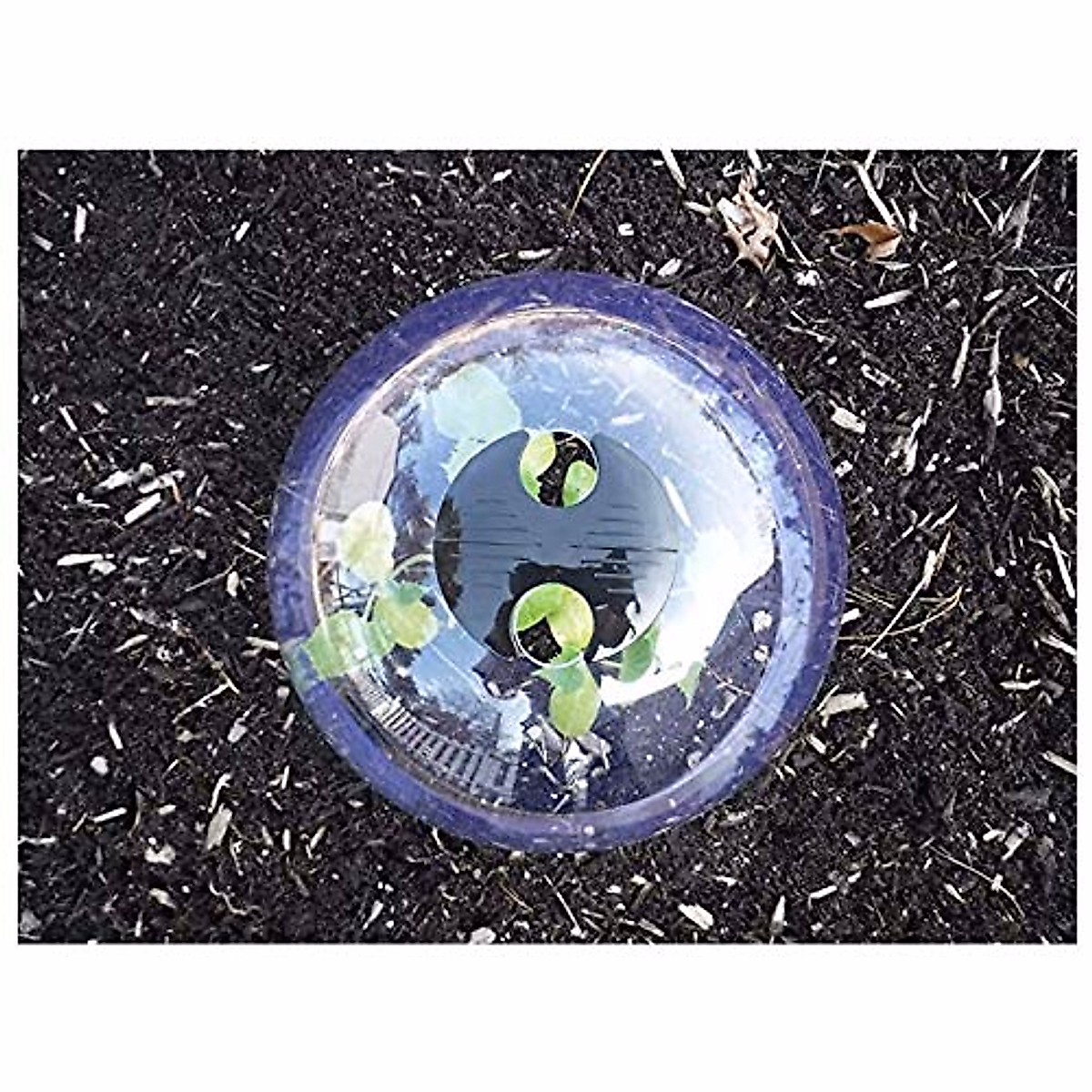 KiaoTime Pack of 10 Reuseable 10" Plastic Greenhouse Garden Bell Cover Germination Cover Frost Guard Freeze Protection Dome with Bonus 30 Metal Stakes+10 Tags