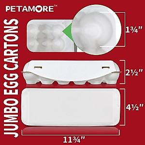 36 White Pulp Egg Cartons Holds 12 Small to Jumbo size Eggs - Strong Sturdy Reusable egg cartons bulk with flat top for personalized egg cartons-Cute egg crates for chicken quail duck goose eggs