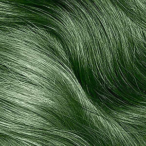 Ion Permanent Brights Creme Hair Color Wintergreen Wintergreen