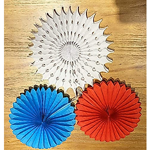 Dr Seuss Cat in the Hat Birthday Party Decorations/Thing 1 Thing 2 Baby Shower Decorations/Airplane/14pcs Blue White Red Tissue Paper Fans Circus Carnival/Nurse Graduation Decorations