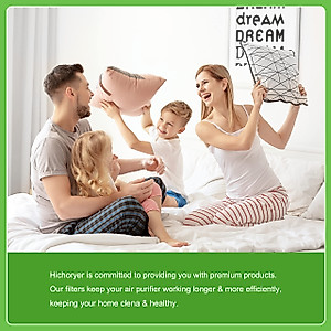 Hichoryer MD1-0022 Replacement Filter, Compatible with Vornado Air Purifier Models AC300, AC350, AC500, AC550, PCO200, PCO300 and PCO500, 2 HEPA Filter MD1-002 + 4 Pre-Filter MD1-0023