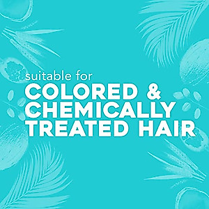 OGX Revitalize + Argan Shine Extra Strength Multi-Benefit Heat Protection Hairspray with Argan Oil & Silk Proteins, Tame Frizz & Non-Greasy Shine, Morocco, 8 Ounce