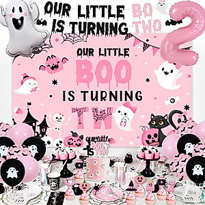 Fangleland Halloween Girls 2nd Birthday Decorations - Our Little Boo Is Turning Two Second Birthday Party Supplies for 2 Year Old Girl - Ghost Bat Backdrop Balloons Cake Topper Pink and Black
