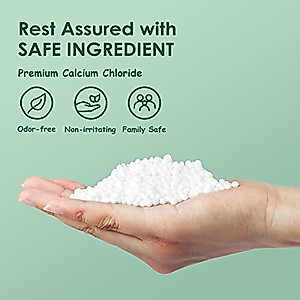 Pureegg Moisture Absorbers Hanging Bag - 12 Packs, Citrus Scent, Odor Absorber for Narrow Spaces, Efficient Humidity Absorber for Kitchens, Basements, Bathrooms, Hanging Closet Odor Eliminator