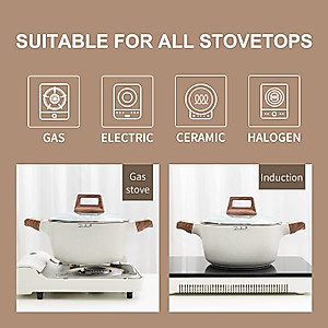 HooJay 5 Quart Nontick Dutch Oven,Non stick Stockpot Soup Pot with Lid,5QT Casserole Induction Pot for Cooking,PFOA Free