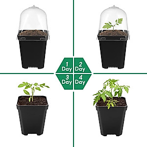 24 Sets 3 Inch Square Plant Nursery Pots with Humidity Domes Clear Lids Plant Labels, Seeds Starter Pot Planter Containers for Planting Seedlings