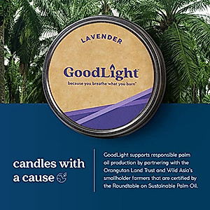 Paraffin-Free Scented Candle, Tin Candles, Birthday Gifts for Women & Men, 30-Hour Burn Time (Lavender, 6 oz)