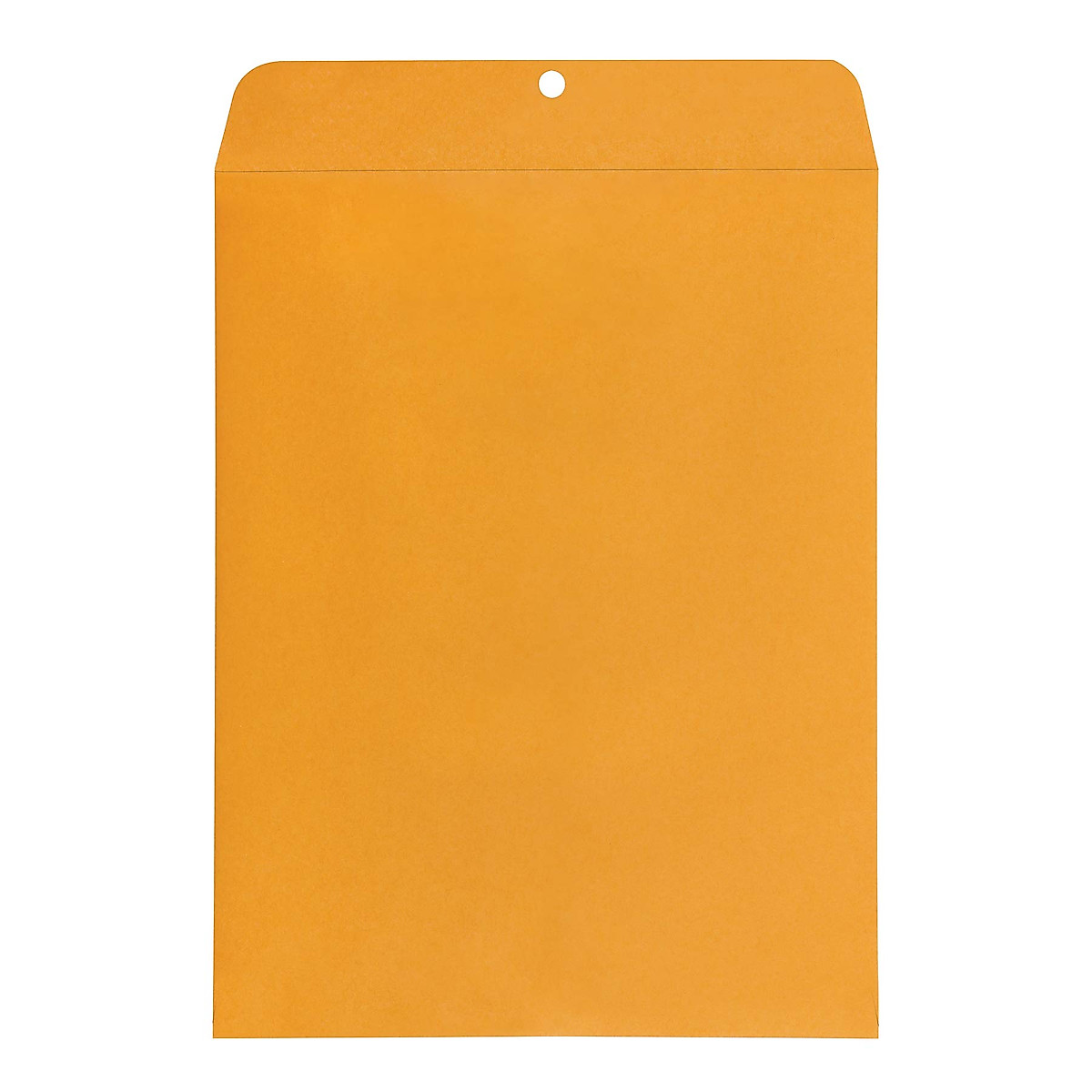 Amazon Basics 10 x 13-Inch Clasp Kraft Envelopes, Gummed, 100-Pack