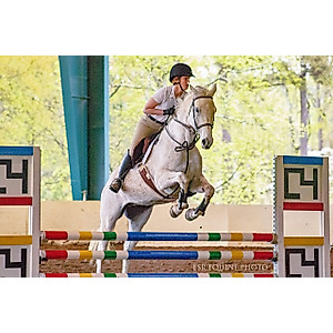 C4 BELTS - Classic Equestrian Belt - Horseback Riding Apparel Belt - Designed and Printed in the USA - Cut to Fit