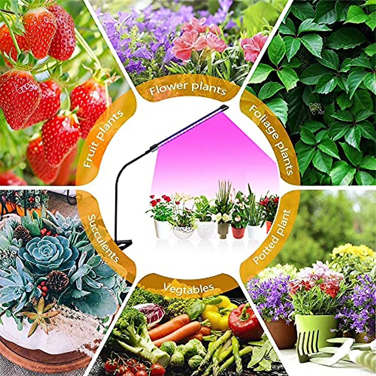 Ecoogrower LED Grow Lights for Indoor Plants, Plant Growing Lamps for Indoor Plants, 20W Full Spectrum Adjustable Gooseneck 9 Dimmable Levels 3 Modes Timing Function, 1 Head