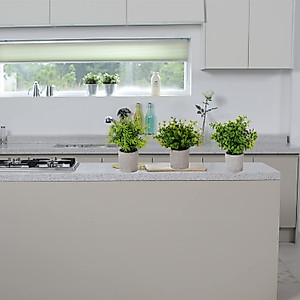 mizii 3 Pack Mini Potted Artificial Plants w/ 3 Plant Hangers,Eucalyptus Rosemary Fake Leaves Green for Indoor Home Room Shelf Kitchen Balcony Garden Wedding Decor