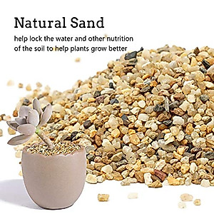 5.7 lbCoarse Sand Stone - Silica Sand for plants, Soil Cover Succulents and Cactus Bonsai DIY Horticultural sand, Decorative Sand for Vases Fillers,Terrarium, Fairy Garden,Natural Sand Top Dressing