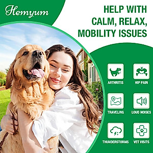 Hemyum Dog Hip & Joint Care Oil for Pet，Dogs Cats Oil Made in USA-Dog Hip & Joint Care-XQYSYEE-0422-84