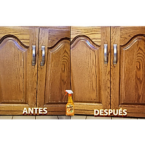 Howard Products ORS016 Orange Oil Wood Polish, 16 oz