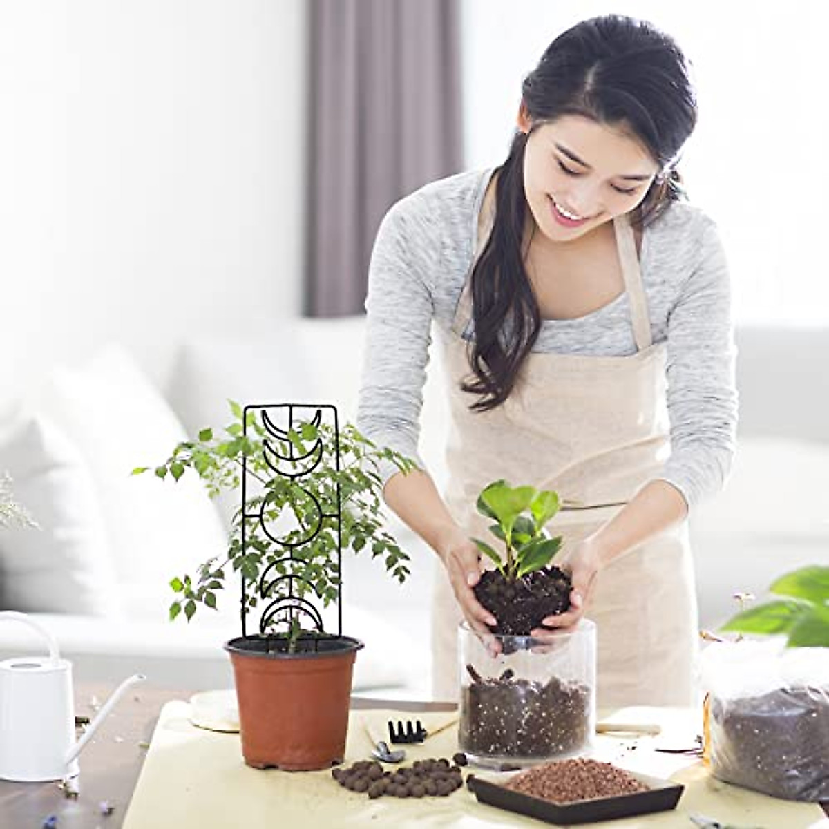 Tuitessine Moon Phase Trellis Indoor Plant Trellis Climbing Plant Small Garden Trellis for Potted Plant Houseplant Metal Wire Trellis Pot Trellis 2 Packs 14.1’’