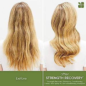 BIOLAGE Strength Recovery Shampoo | Gently Cleanses & Reduces Breakage | For Damaged & Sensitized Hair Types | Vegan | Cruelty-Free | Valentines Day Gift For Her