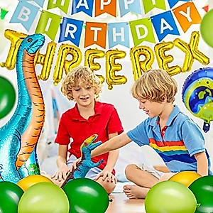 Dinosaur Birthday Party Decorations Supplies, 3 Years Old Boy Birthday Celebration Set Dinosaur Party Balloon Birthday Banner Dino Themed for Kid's Birthday Party, Gold Green