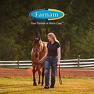 SuperMask II Fly Mask Without Ears for Smaller Horses or Arabian Horses, Full Face Coverage and Eye Protection from Insect Pests, Structured Classic Mesh with Plush Trim, Small Horse/Arabian Size