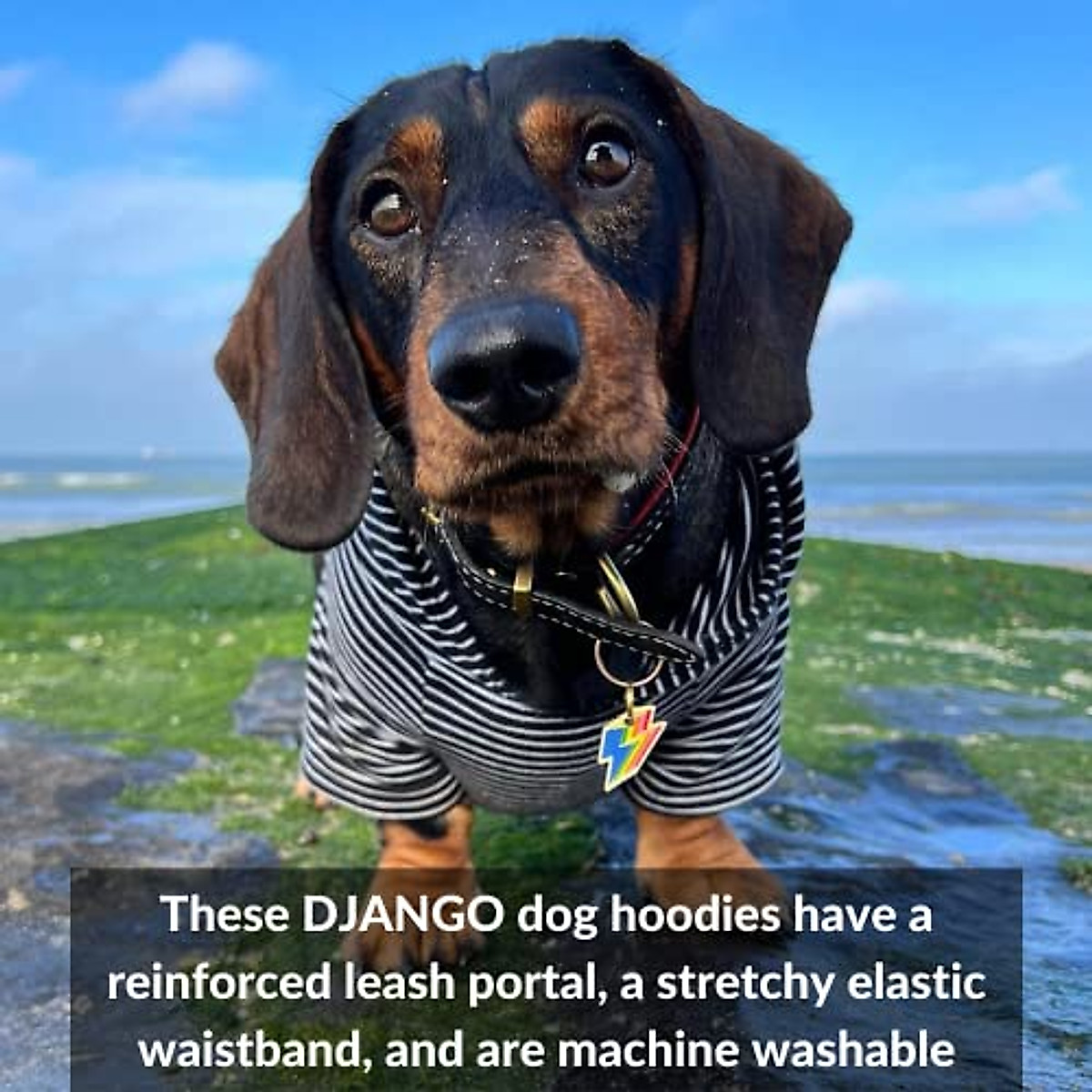 DJANGO Dog Hoodie and Super Soft and Stretchy Sweater with Elastic Waistband and Leash Portal (Medium, Black)