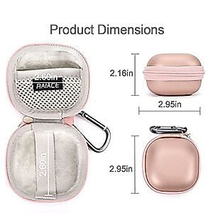 RAIACE Hard Storage Case Compatible with Beats Fit Pro Earbuds, Earbuds Storage Box with Mesh Pocket. (Case Only) - Pink